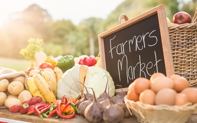 Landmark College | Putney Farmers Market